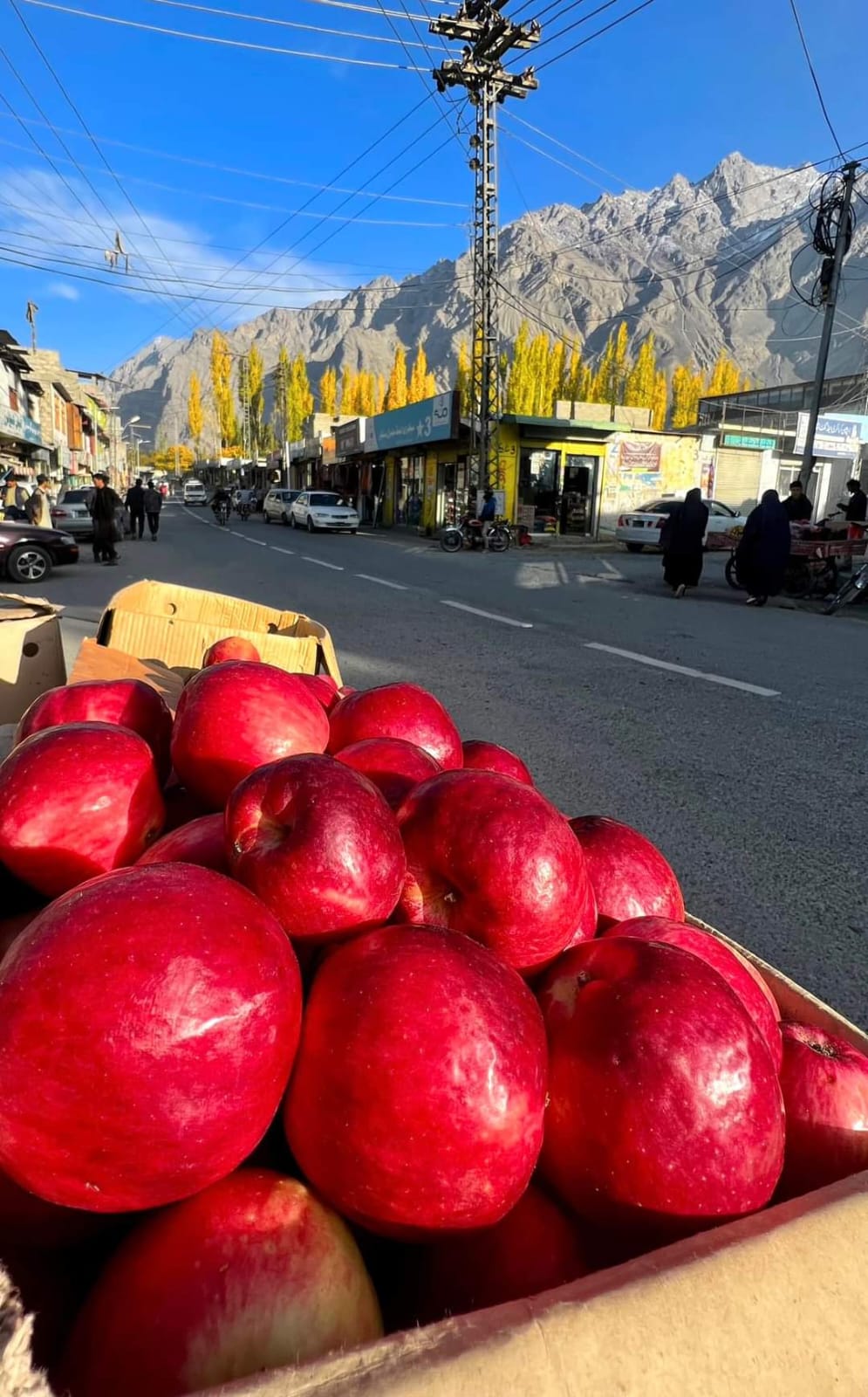 Apple-Saspolo - Hunza Highland
